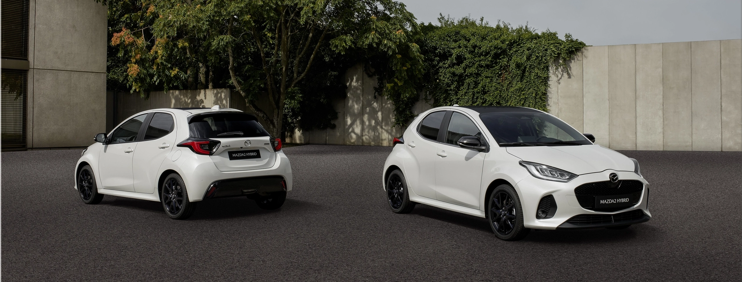 2024 Mazda2 Hybrid: A Stylish and Efficient Hatchback for the Future ...
