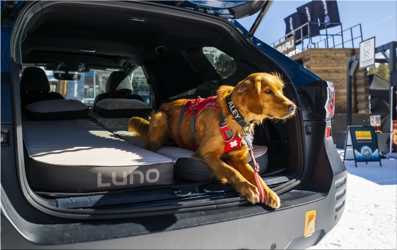 Subaru WinterFest 2026: Shakey Graves Headlines Free Mountain Tour ...